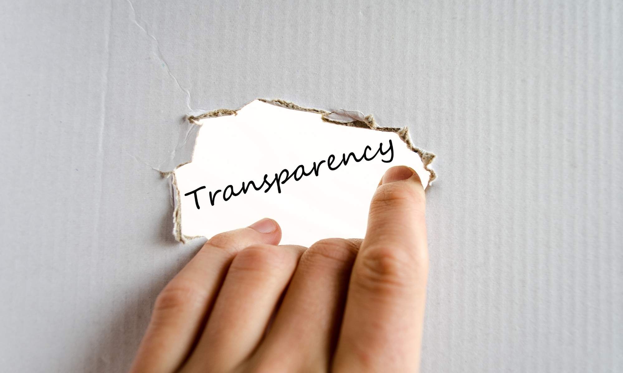 Why Transparency in Business Is Important | Professional Alternatives Why Transparency in Business Is Important | Professional Alternatives